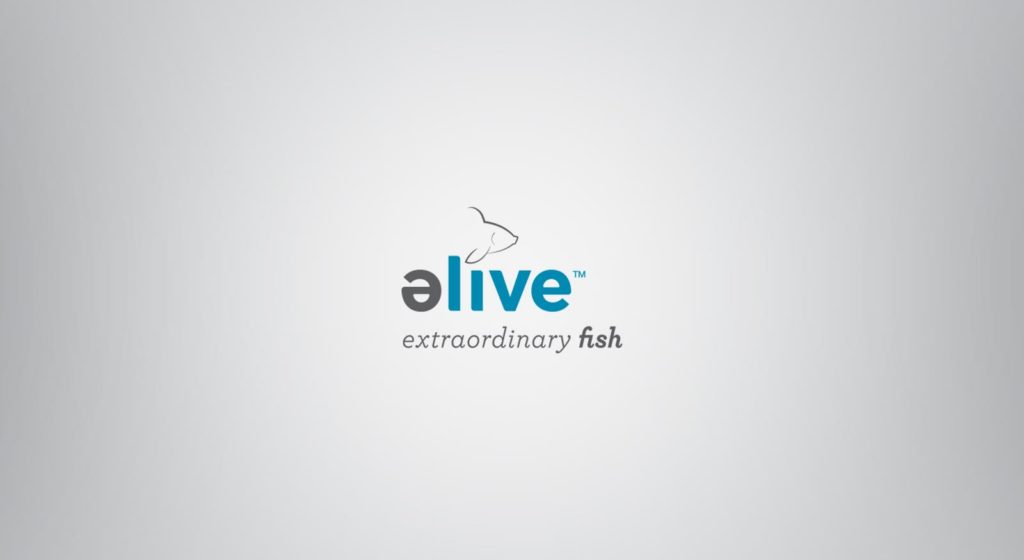 Elive — THIEL Design