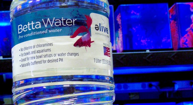 Elive — THIEL Design